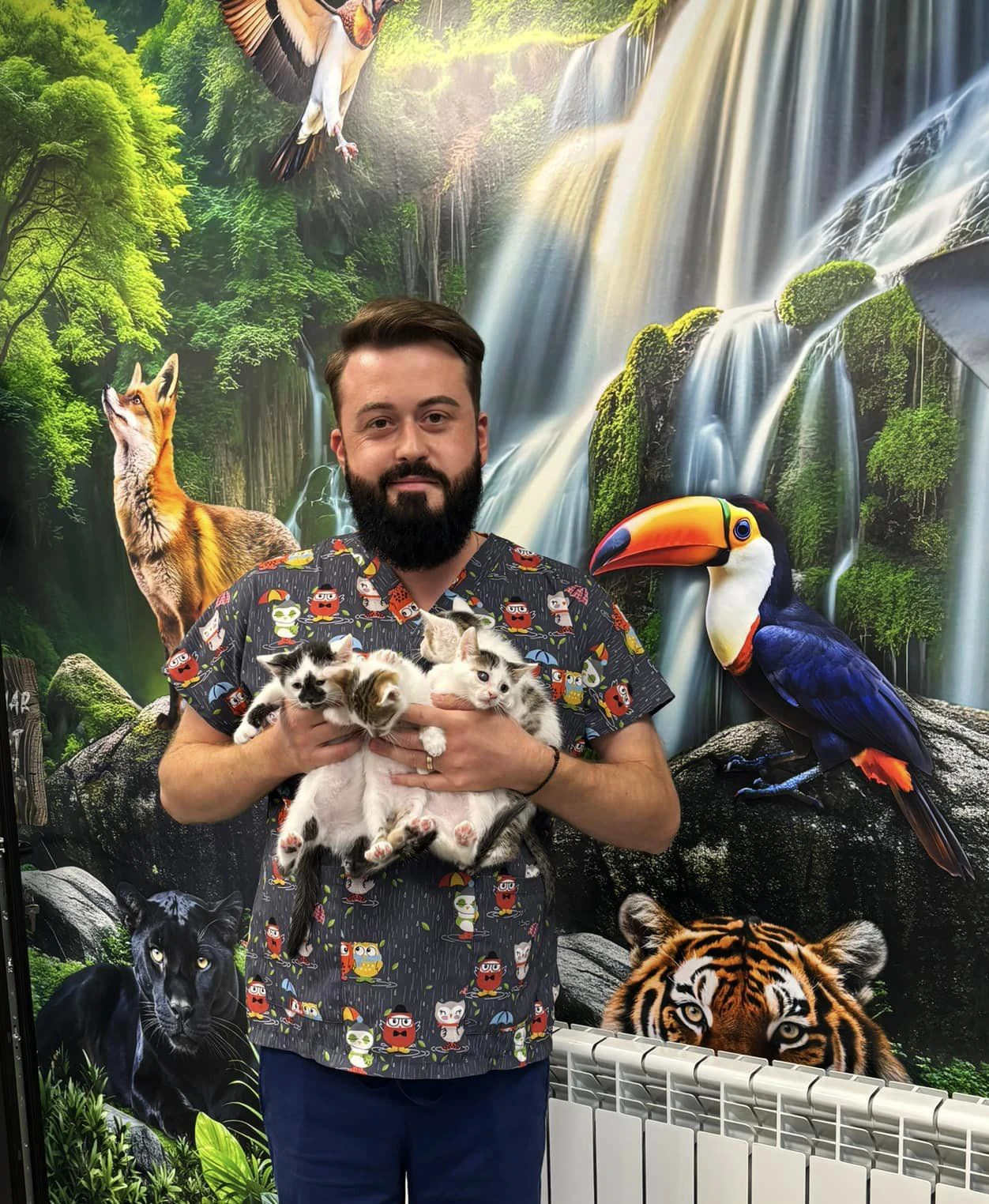 Cabinet Veterinar , Sfântul Modest - Cabinet Veterinar Sfântul Modest